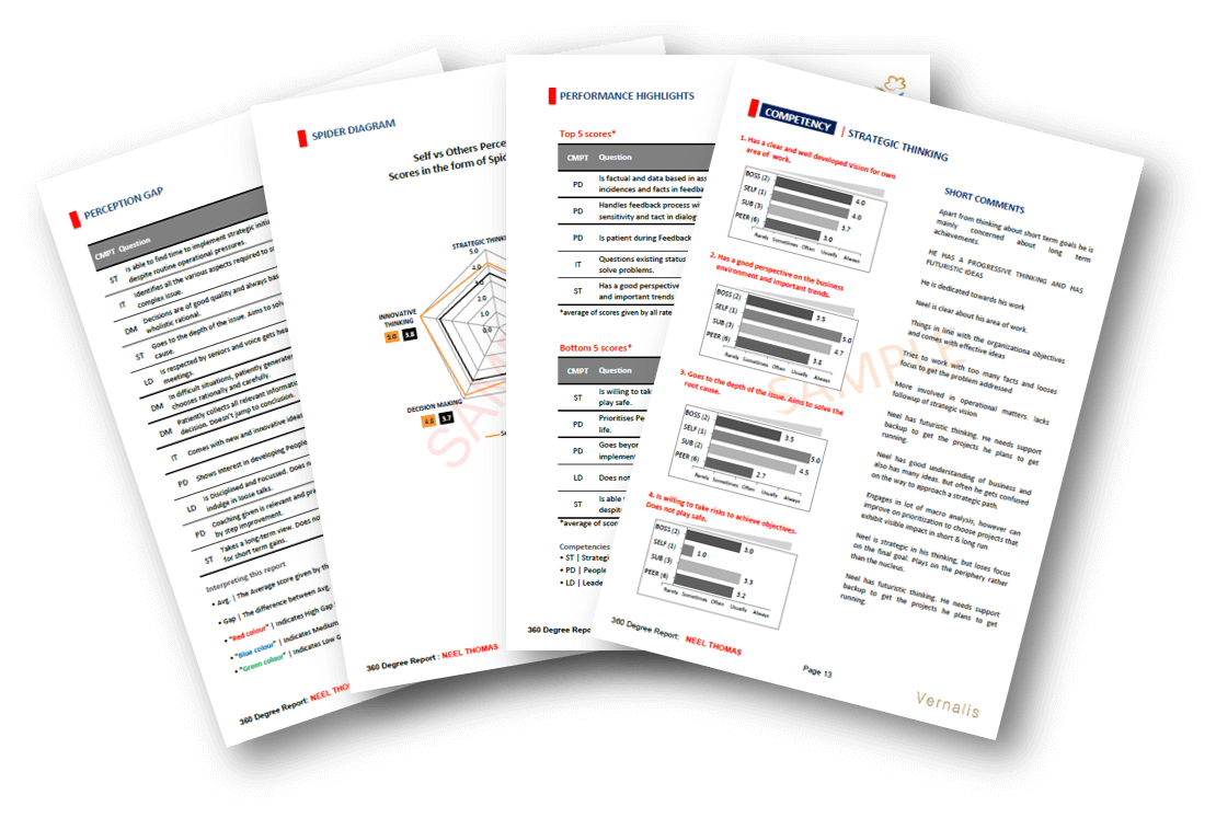 TrueSphere 360 | World-class 360 Feedback Offering - Vernalis